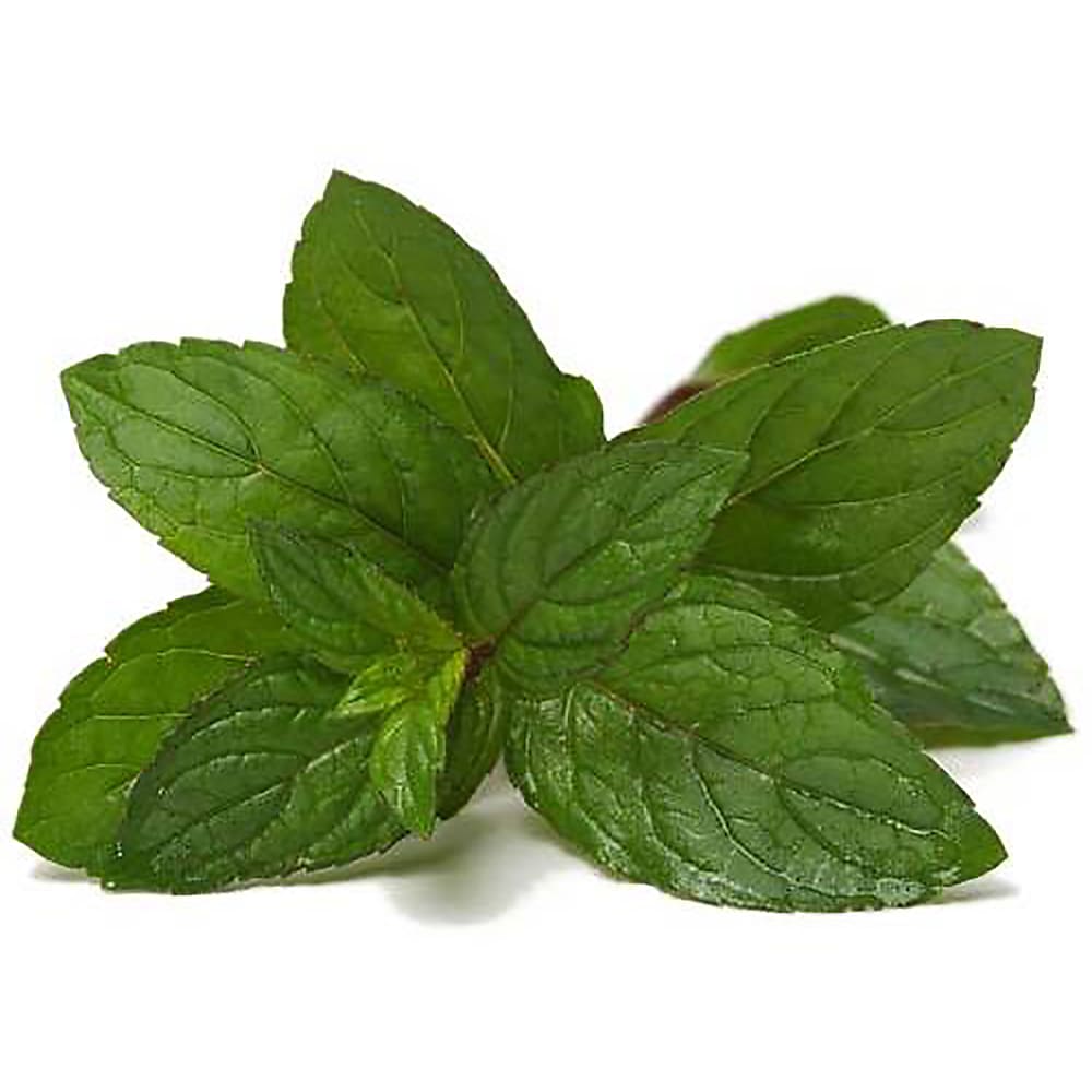 Kaufen Bio · Minze • Migros