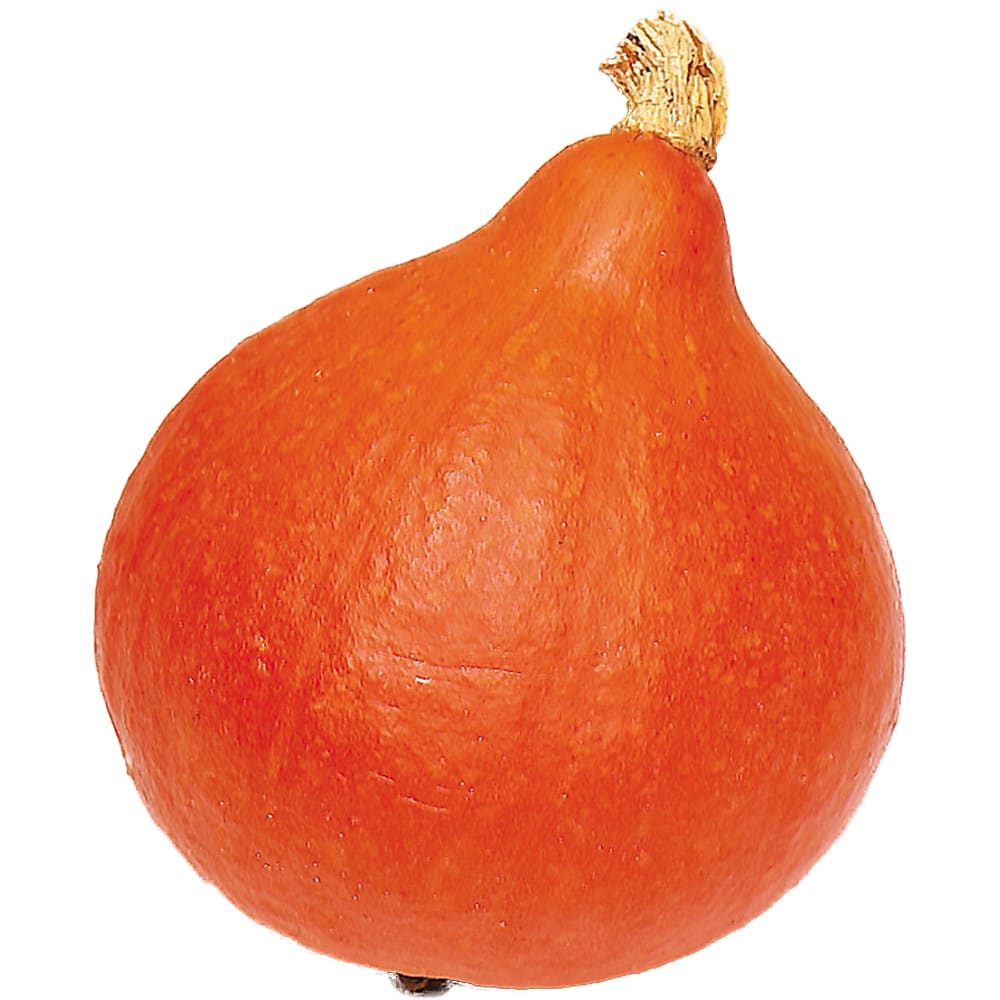 Kürbis · Roter Knirps, Hokkaido • Migros