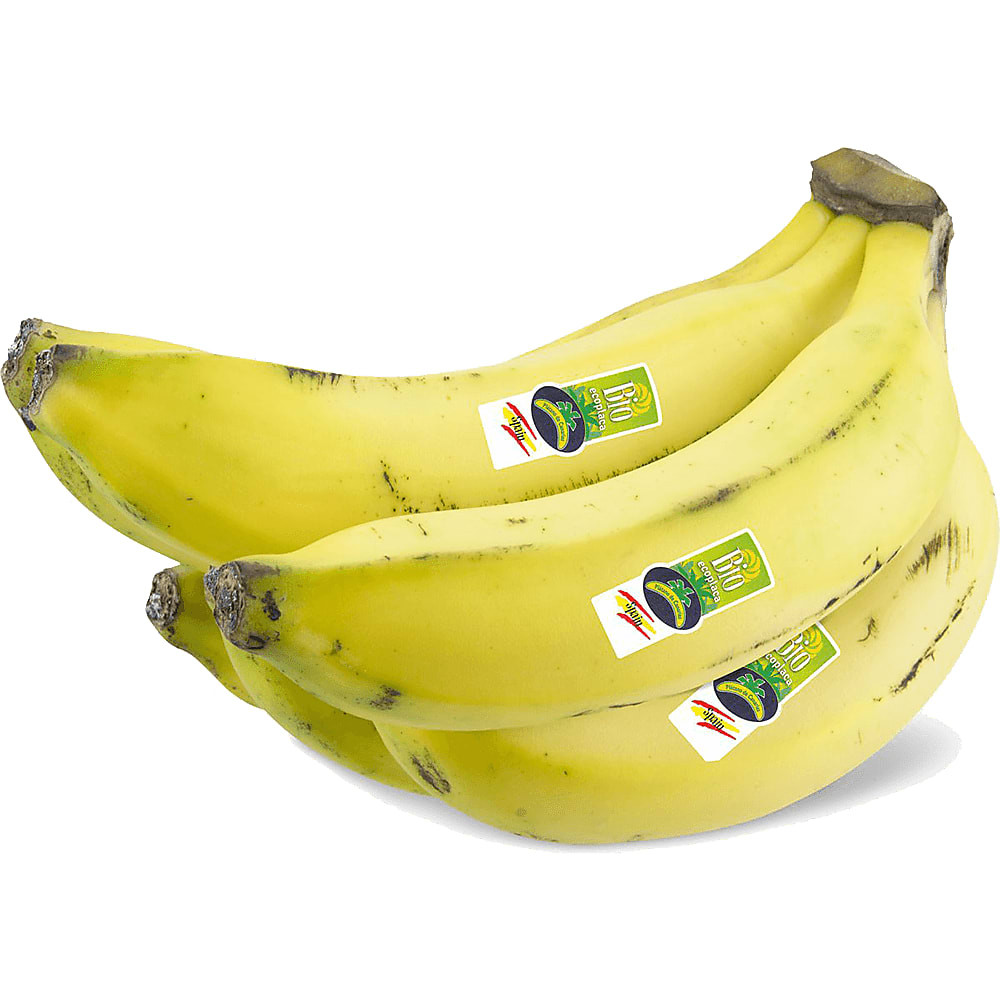 Bio · Bananes · des Canaries • Migros