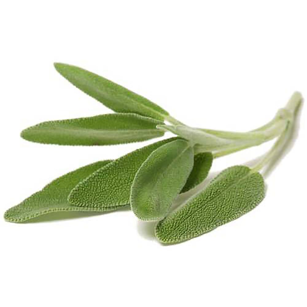 Bio · Salbei • Migros