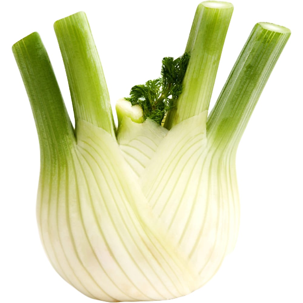 Bio · Fenchel • Migros
