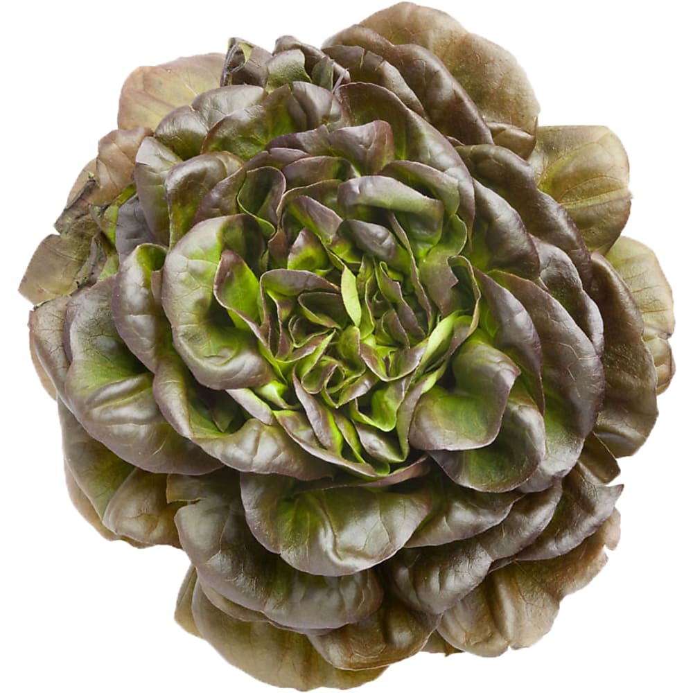 Buy salad · Salanova red • Migros