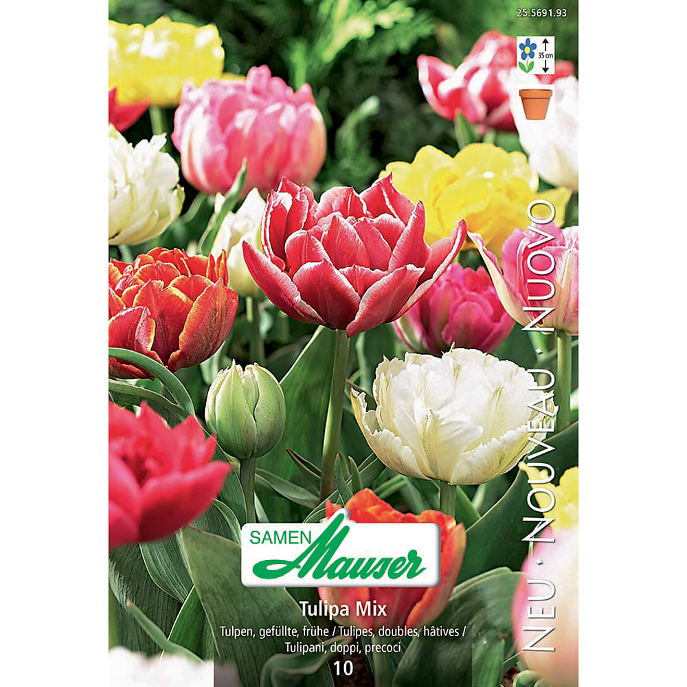 Kaufen Samen Mauser · Tulpen gefüllt früh Mischung • Migros