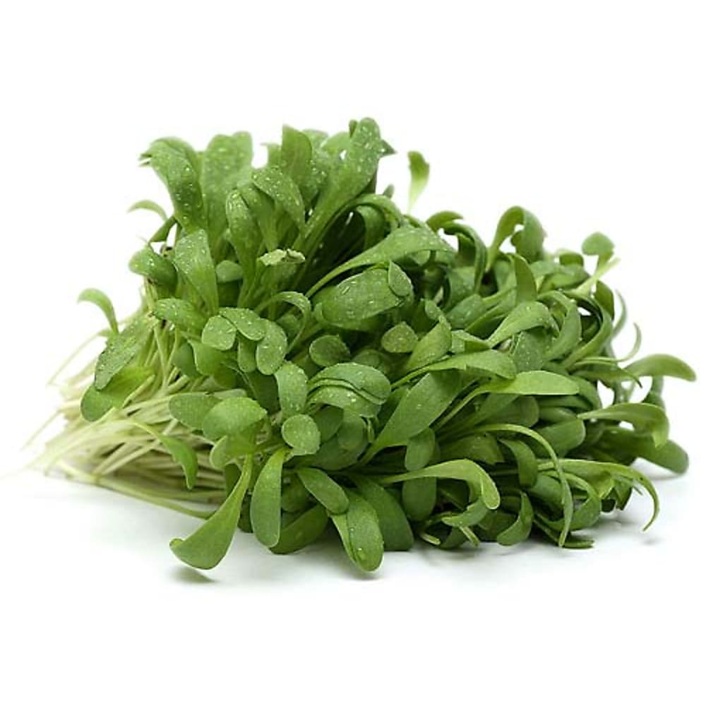 Achat Cresson • Migros