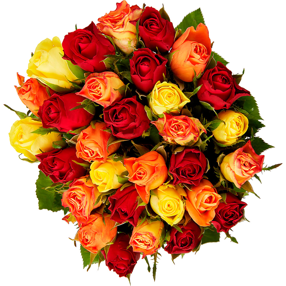 Buy M-Classic · Rose magic 30er Bund · yellow-orange-red • Migros