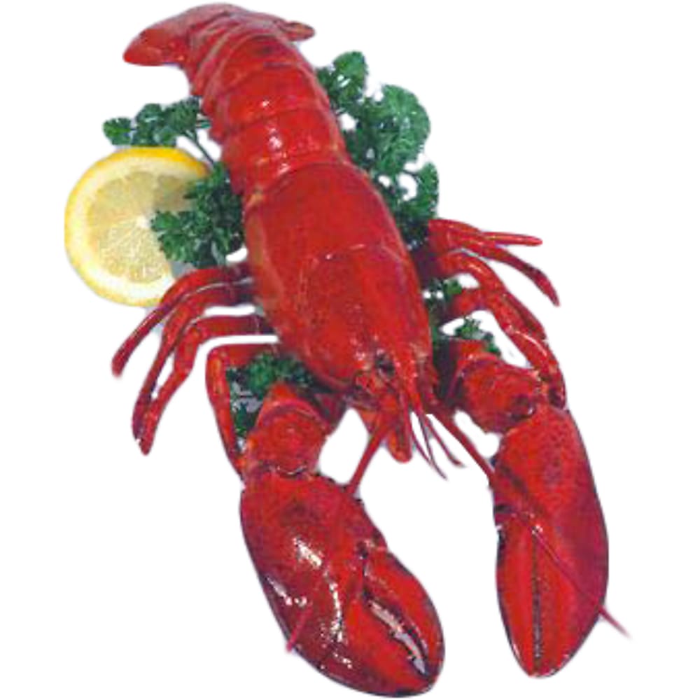 Achat Orion · Homard sauvage · Cuit • Migros