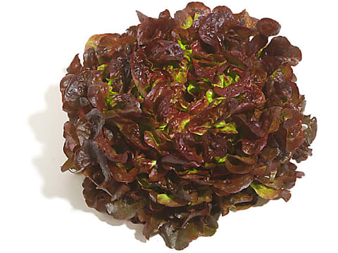 Oak leaf salad · Red • Migros