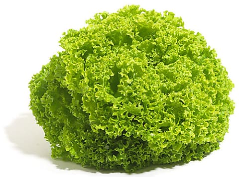 Buy salad · Lollo green • Migros