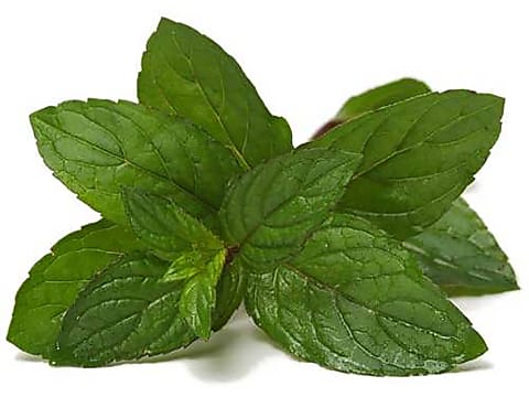 Buy Bio · Mint • Migros